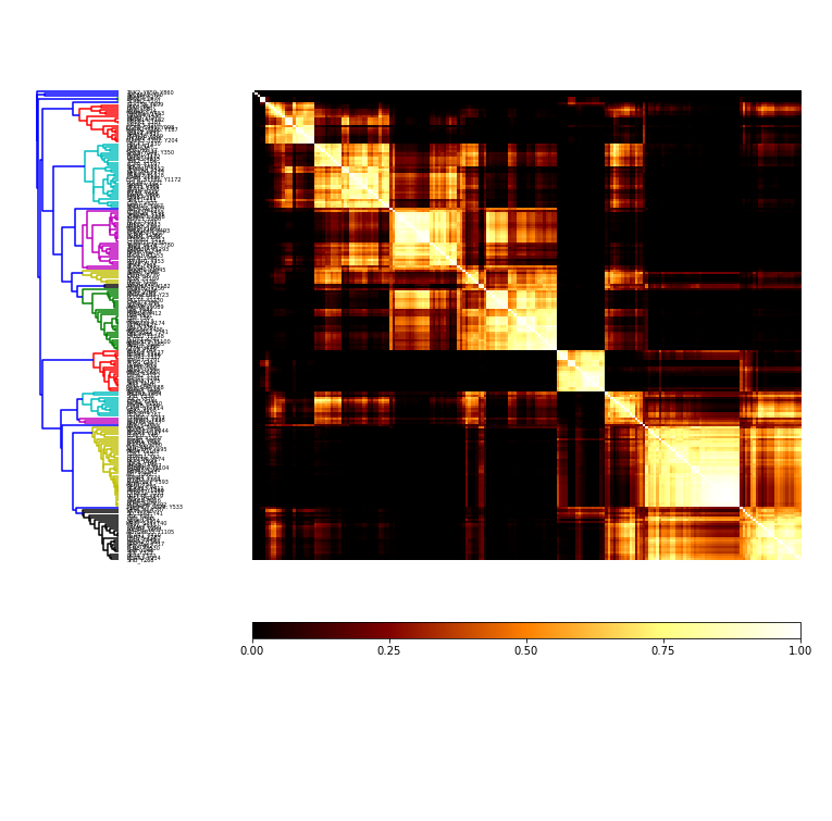 Parallelization Of Data And Cluster Objects Resampling Data To Explore Effects Of Noise